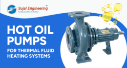 Hot Oil Pumps for Thermal Fluid Heating Systems